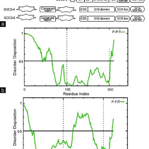 A Schematic Representation Of Socs Proteins Modular Structures Idrs