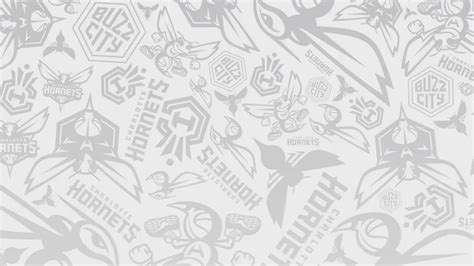 Charlotte Hornets