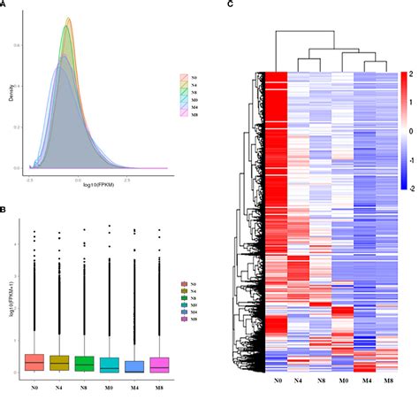 Frontiers Comparative Time Course Transcriptome Analysis Of Two