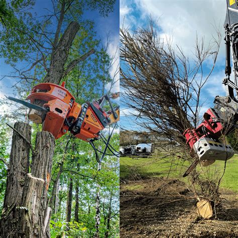 Grapple Saw Safety Forest Centre