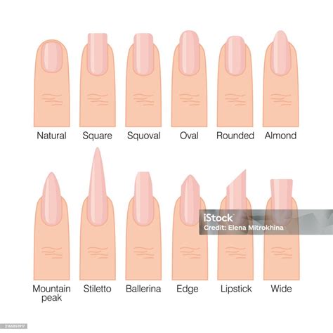 Nail Shapes Natural Rounded Square Squoval Oval Almond Ballerina