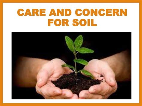 Layers Of Soil PPTX Gardening Home Garden