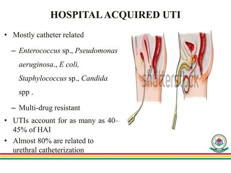 Hospital Acquired Infections And Health Associated Infections Pptx