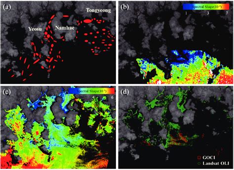 A Red Tide Report From Nifs Through Modification B Goci Rrs Download Scientific Diagram