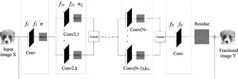 A Schematic Representation Showing Frcnn Including Convolutional