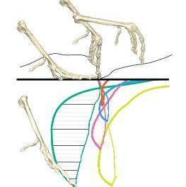 Sex Robots On Way For Elderly And Lonely But Pleasure Bots Have A Dark Side Warn Experts