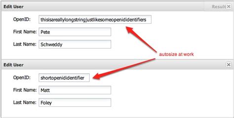 Extjs4 Extjs Why Isnt Autosize Working For My Textfields Stack