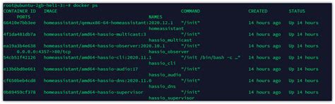 Start With Net Host Flag Home Assistant Os Home Assistant Community