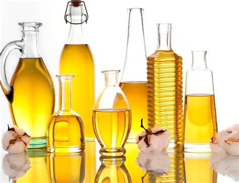 Vai trò của lipid trong cơ thể ROLIE Việt Nam