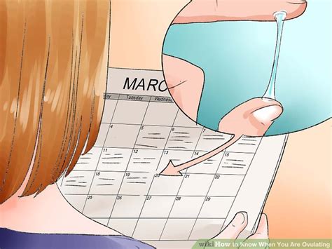 Ways To Know When You Are Ovulating WikiHow