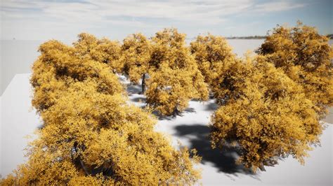 Hdrp Tree Pack 2 Highpoly
