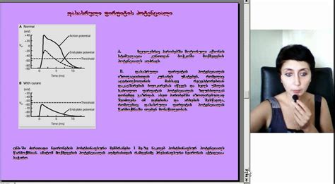 სინაფსური გადაცემის საფუძვლები და მეხსიერების მოლეკულური და ფიზიოლოგიური მექანიზმები ლექცი