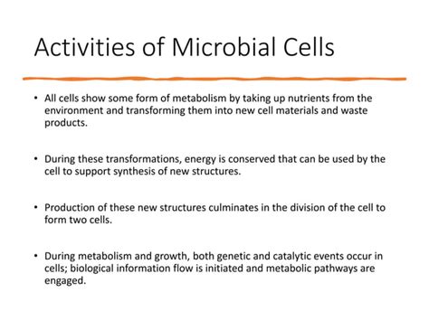 Structure Of Prokaryotes Pptx Pptx Genetics Science