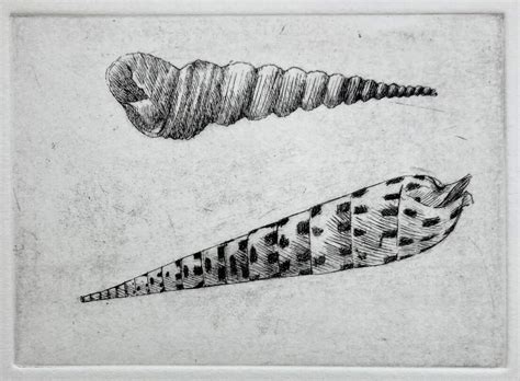 Etching From Nature Maine Media Workshops College Etching From Nature Maine Media Workshops College