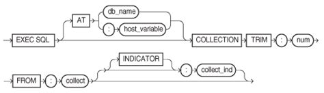 embedded sql statements and directives