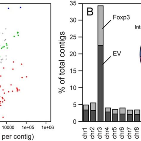 Circular Chromosome Conformation Capture Sequencing 4c Seq Analysis