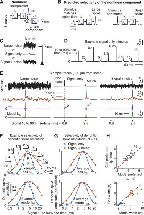 Figure 6 From Systems Based Analysis Of Dendritic Nonlinearities Reveals Temporal Feature