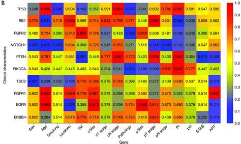 gene status and correlation analysis a the genetic mutation status