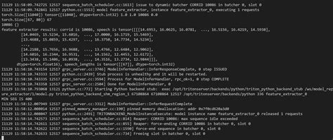 Failed To Process The Requests For Model Instance Featureextractor00 Message Stub