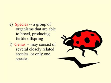 Classification Ppt Biological Sciences Science Classification Ppt Biological Sciences Science