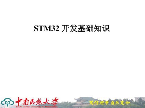第4章stm32开发基础知识详解word文档在线阅读与下载无忧文档