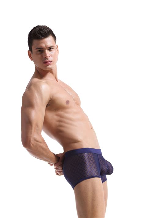 Wholesale Mens Sexy Underwear Lingerie Mesh Gauze Low Rise Translucent