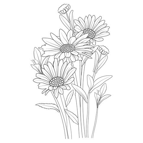 Beautiful Monochrome Hand Drawn Daisy Flower Pencil Art Daisy Flower