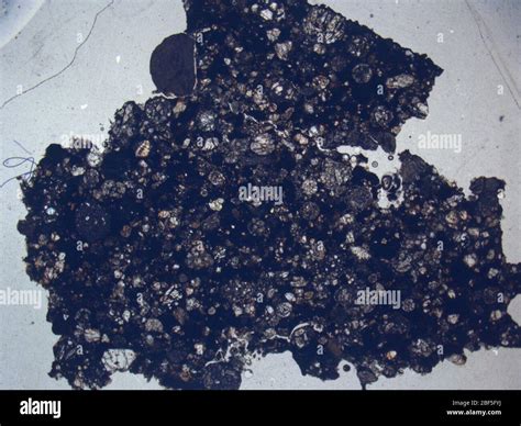 Micrograph Of Pat 91526 2 Meteorite Under Plane Polarized Light At 1 25x Magnification Stock