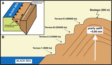 A Compressive Strain Partitioning Between Active Thrust And Download Scientific Diagram