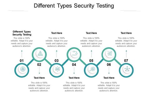 Different Types Security Testing Ppt Powerpoint Presentation Professional Design Ideas Cpb