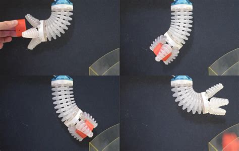 Design Modeling And Control Strategies For Soft Robots