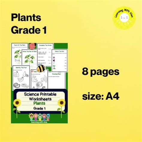 Graphing Trig Functions Kuta Software Worksheets Library