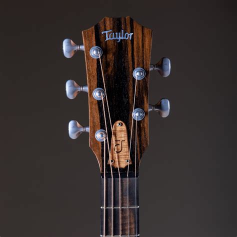 Jacob Collier Signature Model 5 String Jacob Collier Uk