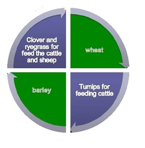 Crop Rotation System