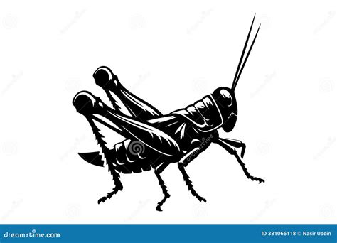 Grasshopper Silhouette Vector Detailed Insect Illustration