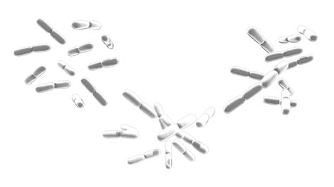 🎒 Lactobacillus Plantarum Bacteria・ 3d File For ・cults