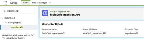 Part 1 Data Cloud Mulesoft Integration Connected App Ingestion Api And Data Stream Settings