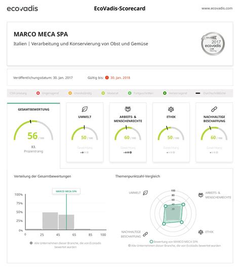 Ecovadis Support And Consulting Rittweger Team