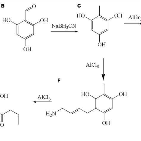 Synthetic Route Of Target Compounds Download Scientific Diagram