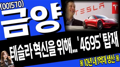 금양 🔥10년내 1억대 생산 테슬라 혁신을 위한 결정 4695 탑재🔥금양 금양주가전망 Adr발행 외인 수급 2차전지 윤교수 Youtube