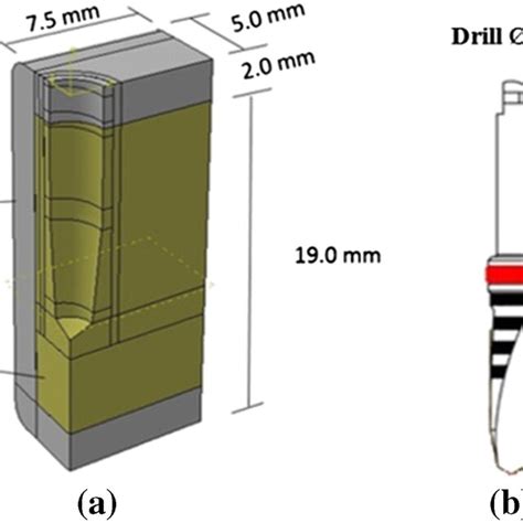 A The Dimensions Of The Bone Segment Model B Final Drill Bit Of