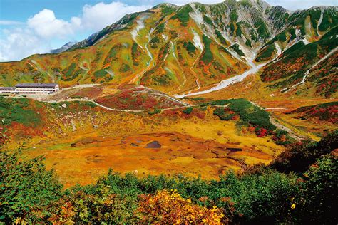 立山黒部アルペンルート 室堂ライブカメラ 黒部ダム ライブカメラ 室堂 Muwdne