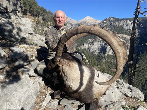 New World Record Of Bezoar Ibex Stalker