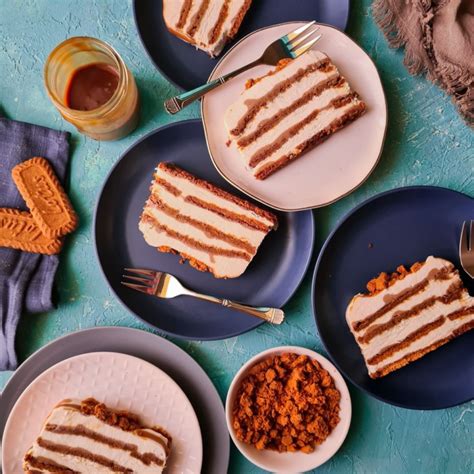 Easy To Make Lotus Biscoff Ice Cream Cake Dessert Recipes