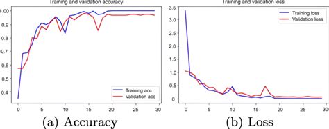 Performance Of Vgg Icnn On The Rice Dataset Download Scientific Diagram