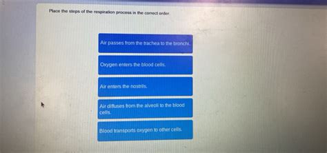 solved place the steps of the respiration process in the correct order