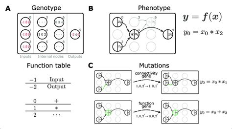 Representation And Mutation Of Mathematical Expressions In Cartesian