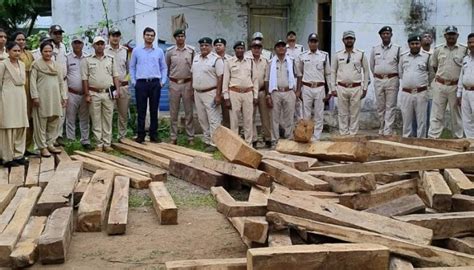 Illegal Timber Seizure Archives Indian Masterminds Bureaucracy