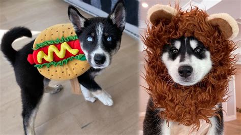 Joey Graceffa Halloween Costume