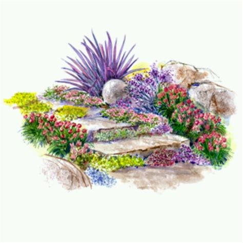 1000 Images About Plants Heatdrought Tolerant On Pinterest
